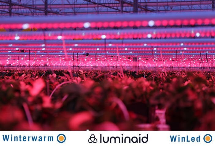 Winterwarm expands WinLed lighting range with acquisition of Luminaid activities - Vado